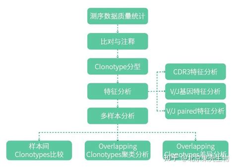 10x单细胞免疫组库测序服务 知乎