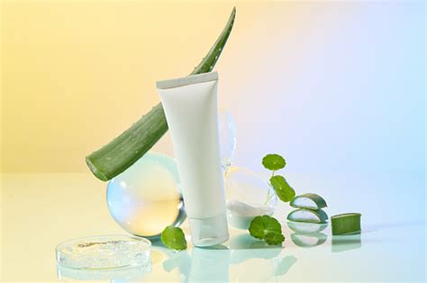 가장자리를 따라 작은 가시가 달린 길고 뾰족한 알로에 베라 식물이 유리 지구본 위에 놓여 있습니다 앞에는 라벨이 없는 화장품 튜브와 페니워트 및 알로에 베라 세그먼트가