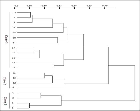 Dendrogram Showing The Relationships Among Accessions Of Triticum And