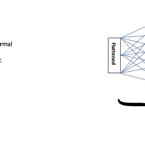 The Proposed Mobilenetv2 Network Architecture Download Scientific Diagram