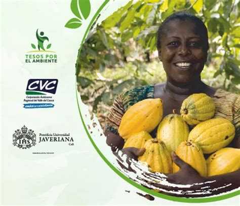 Curso De Programación En Python Nivel Intermedio Pontificia