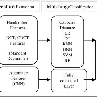 Work Flow Of The Research Download Scientific Diagram