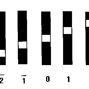 Symmetric Coding Scheme For The Input Signals Download Scientific Diagram