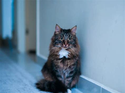 How To Reset Computer Without Admin Password