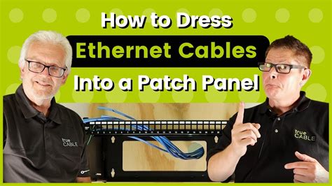 Are Ethernet Cables Fragile At Lynne Griffin Blog