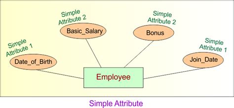 Attributes In Dbms Cs Taleem
