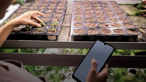 Identify And Prioritise Ai And Ml Use Cases For Your Business Elvenite