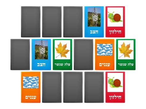 משחק זכרון סימני הסתיו Parejas