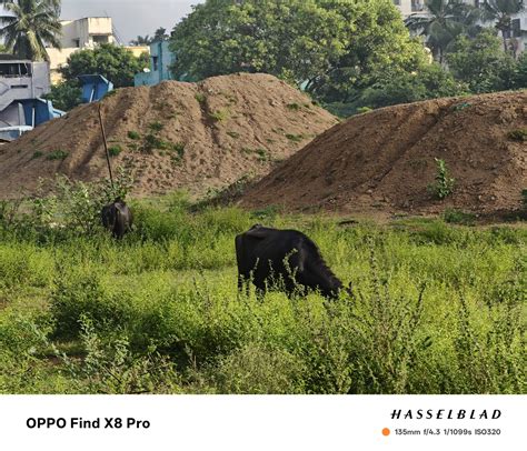 Oppo Find X Pro Review Back With A Bang