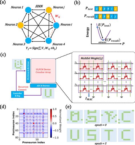 Ulpcm Device Based Hnn For Associative Memory A The Topology Of Download Scientific