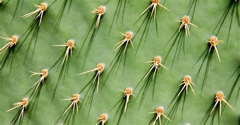 How To Treat Trigger Points In Your Pelvic Floor