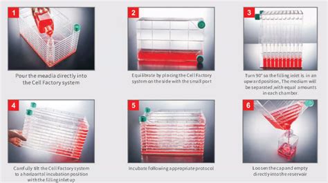 Cellfac Multi Layer Cell Culture System Treated Surface Witec Ag