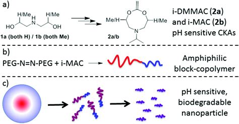 Novel Monomers In Radical Ring Opening Polymerisation For Biodegradable And Ph Responsive