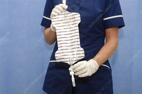 Urinary Catheter Leg Bag Stock Image C0168201 Science Photo Library