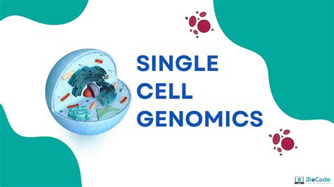 single cell genomics biocode