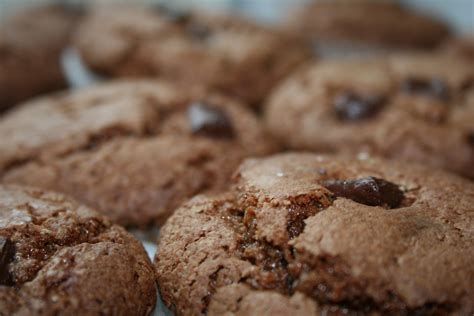 무료 이미지 요리 생기게 하다 아침 식사 빵 굽기 디저트 초콜릿 칩 쿠키 오렌지색의 풍미 머핀 구운 식품