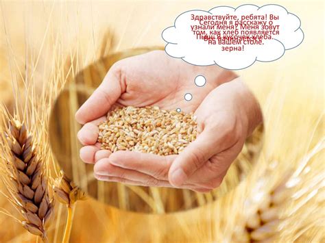 Путь хлеба от поля до стола для детей дошкольного возраста Online Presentation