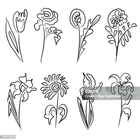 한 줄에 야생화 세트 흰색 배경에 벡터 그림입니다 펜으로 손으로 그린 0명에 대한 스톡 벡터 아트 및 기타 이미지 0명 꽃