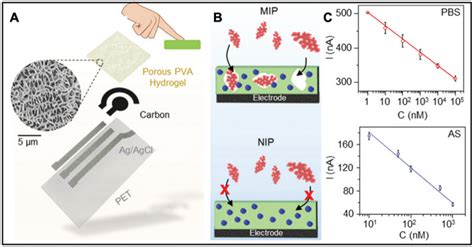 Hydrogel Bioelectronics For Health Monitoring Pmc