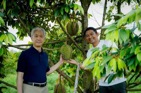 ទូតចិនថា«ទុរេនស្រស់កម្ពុជាបញ្ចប់នីតិវិធីសម្រាប់ការនាំចេញទៅចិនអាចនាំចេញទៅចិនបាន សុីសុីថាមស៍
