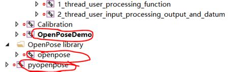 Window10下openpose和pyopenpose的配置 Csdn博客