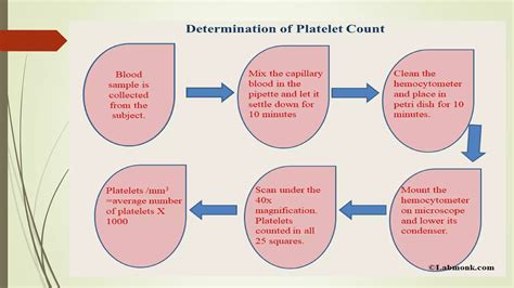 Practical Hematology L 01 Manual Cbc Pdf