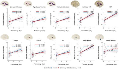 Sex Related Differences And Associated Transcriptional Signatures In
