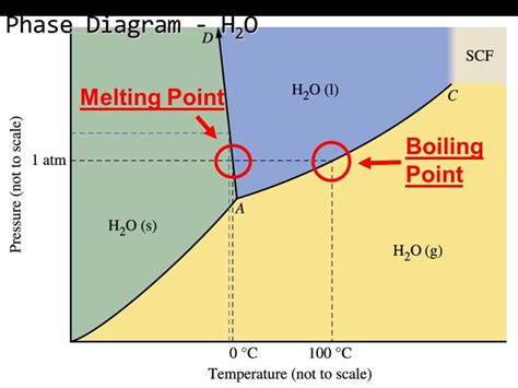 The Complete Guide To Understanding The Phase Diagram Of Sulfur