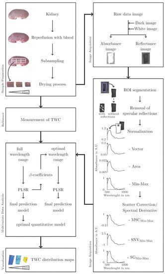 Algorithms Special Issue Algorithms In Hyperspectral Data Analysis