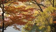 奈良の紅葉名所人気ランキング2024 ウェザーニュース