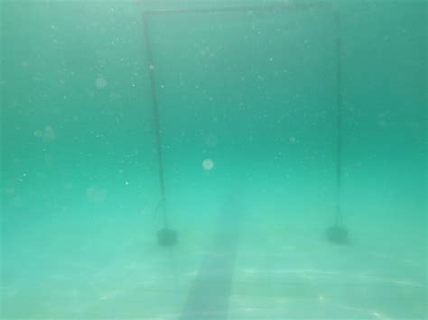 Underwater Object Detection Object Detection Model By Uod