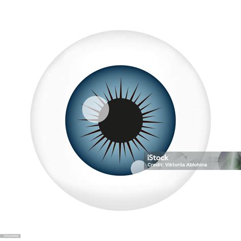 파란 눈동자를 가진 눈알 인간의 안구 해부학 근접 촬영은 흰색 배경에 분리되어 있습니다 간첩 호기심 스파이 감시 개념 3차원 형태에 대한 스톡 벡터 아트 및 기타 이미지