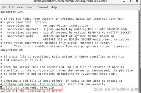 Redis主从复制redis 主节点负责写从节点负责读吗 Csdn博客