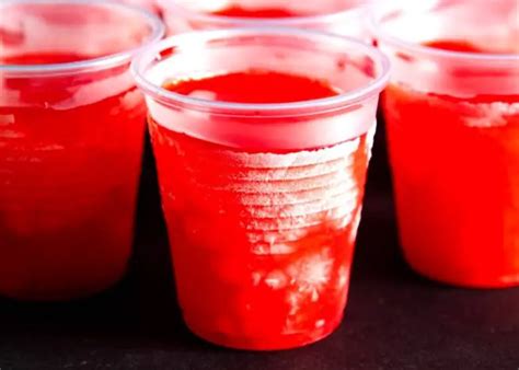 Lilly Dilly Freeze Cups Recipe