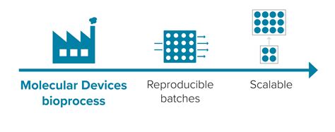 custom organoid expansion service get reproducible assay ready pdos