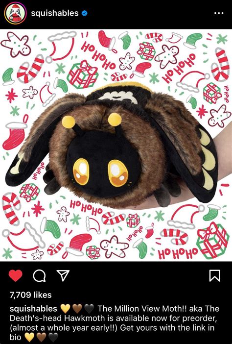 Yall Squishables Just Dropped Another Moth 👀 R Moths