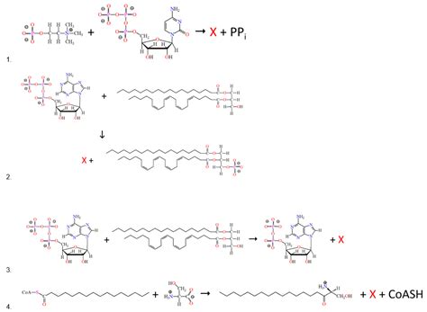 Solved Identify The Missing Product X In Each Of Chegg Com