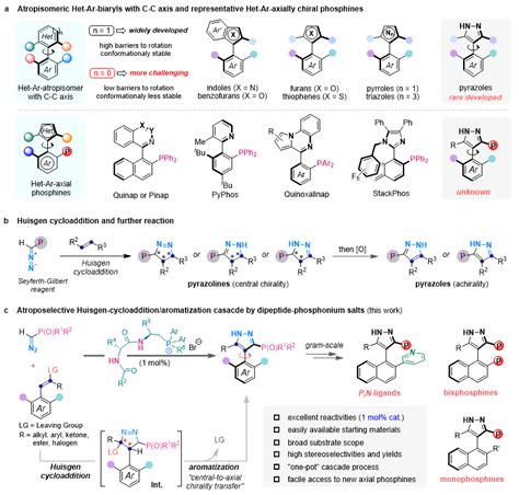 四川大学王天利课题组angew：手性肽季鏻盐催化串联反应构建芳基吡唑轴手性磷化合物 X Mol资讯