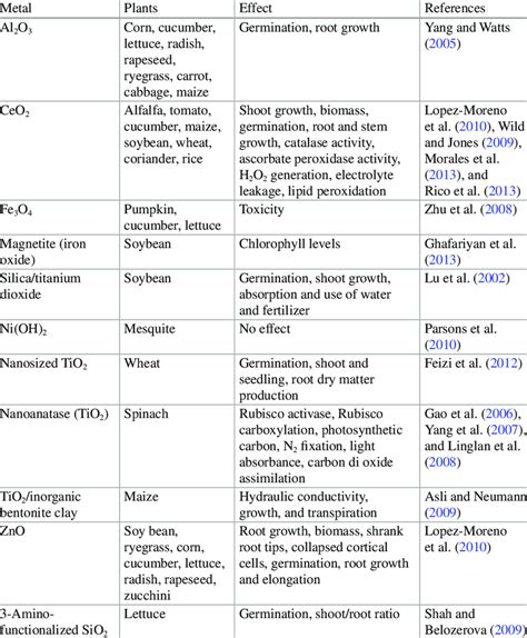 11 Effect Of Metal Oxide Nanoparticles In Plants Download Scientific