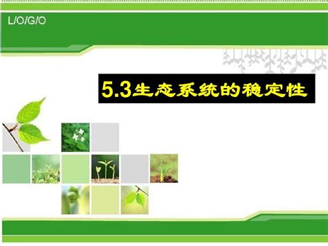 生态系统的稳定性 Word文档在线阅读与下载 无忧文档