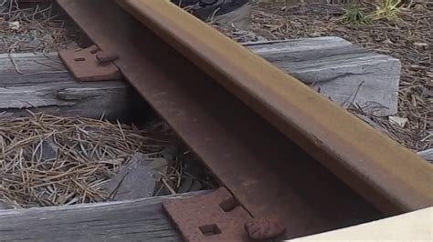 Baseplates Yolov5 Object Detection Model V1 Baseplates By