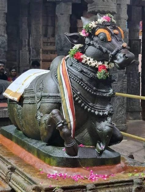 Bull Temple Basavanagudi Surprising Facts Timings Directions
