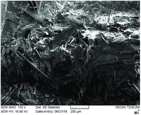 Sem Micrographs Of Cryo Fractured Surfaces Of The Pp Flax Composites