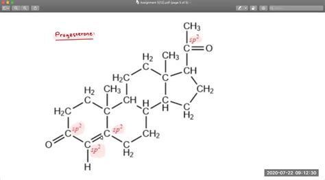 Solved Progesterone Is A Hormone Responsible For Female Sex Characteristics In The Usual