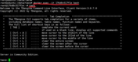 国产时序数据库 tdengine：docker 部署、协议端口及 dbeaver 连接全攻略 tdengine docker csdn博客