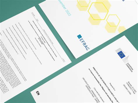 Csrd Vs Csddd Vs Eu Taxonomy Een Overzicht Ecocharting
