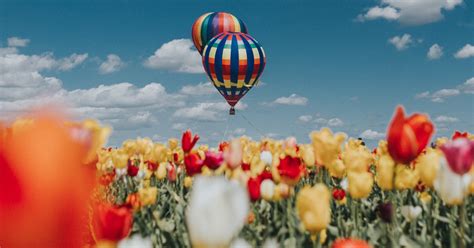 Microsoft Announces Azure Spring Cloud Enterprise In Preview Infoq