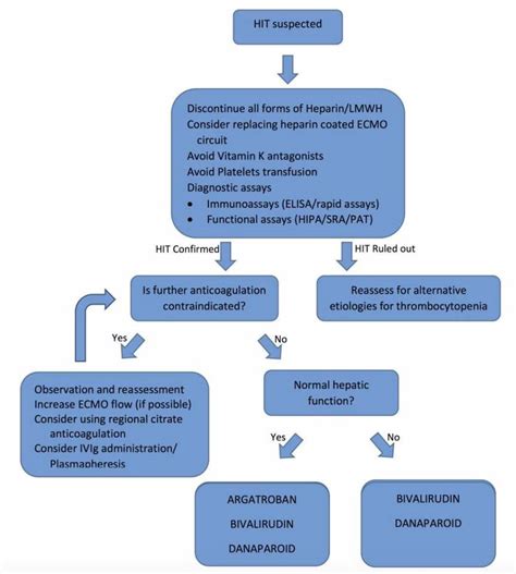 Marcia Maris On Linkedin Ecmo Management Hit