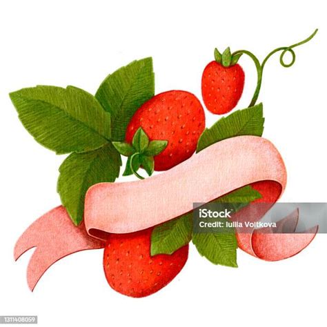 딸기 화환 딸기 잎 그래픽 핸드 그린 크레용 스타일 포장 메뉴 카드 포스터 인쇄를위한 낙서 그림 흰색 배경 위에 격리 건강한 식생활에 대한 스톡 벡터 아트 및 기타 이미지