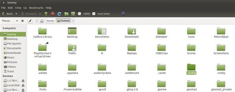 VLC Closes Fix Learn Ubuntu MATE